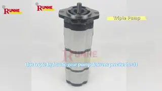Hydraulic Gear Pump 10189715 Product Showcase