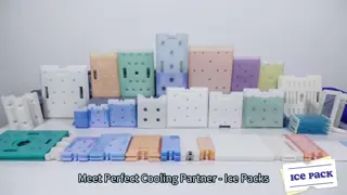 Cold Chain Ice Pack | Long Cooling & Reusable