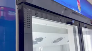 Double Door Upright Beverage Fridge for Retail Stores