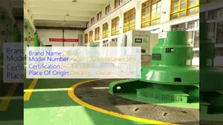 DSSD Kaplan Hydro Turbine Generator High Efficiency Power