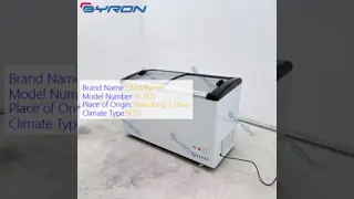 Commercial Sliding Glass Door Ice Cream Freezer Direct Sale