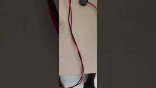 TAIMI Newest IP68 high sounds tone alarm buzzer