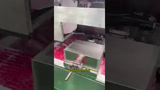 Automatic Spray Painting Machine for Helmet Accessories