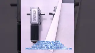 FT-58SGM31ZY, 12V, 7RPM Dual Output Shaft  Lifting Gear Motor