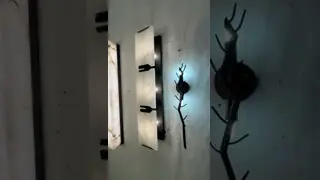 Modern Brass LED Chandelier Elegant Living Room Lighting