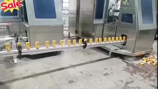 Aseptic Carton Filling Packing Machine