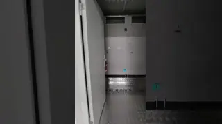 gender-separated portable toilet container