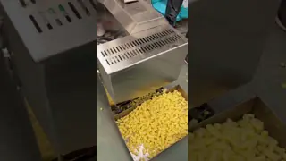 Model 50 Stainless Steel Puffed Food Production Machine