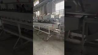 Product Processing & Factory Production