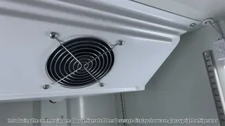 Glass Door Upright Freezer Best Commercial Storage Solution