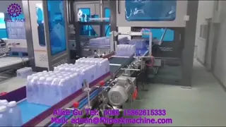 2306 P42 Gantry Palletizer