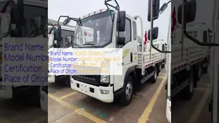 Brand New HOWO 4x2 Light Truck Reliable Cargo Transport