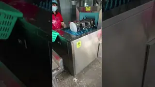 Long Dragon Type Commercial Dishwasher Customer Custom Machine