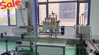 Multi-Head Weigher Packing Machine QNGP-720GB