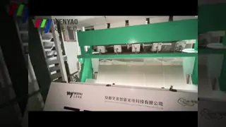 Kidney Bean Color Sorter