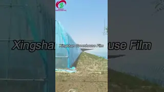 Application Cases of High Transmittance PO Greenhouse Film