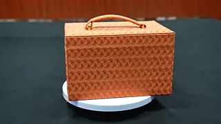 Premium Cosmetic Storage Box, Elegant Multi-Grid Organizer for Makeup & Beauty Supplies