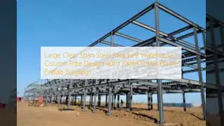 40m Clear Span Steel Warehouse Column Free Design