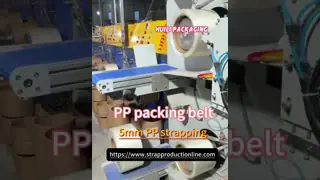 5mm PP strap