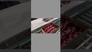 Delta Robot to pick and place Cocoa Little Square Crisp