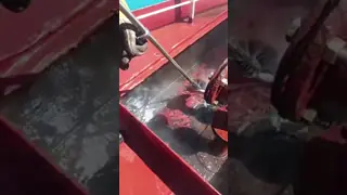Hydro blaster for ship paintings removal