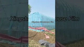 Application examples of PO greenhouse film