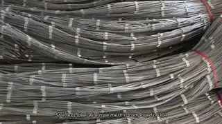 AISI304 2.5mm Ferrule Wire Rope Mesh Anti Rust For Green Wall SGS Certified