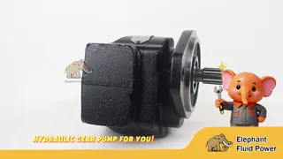 See Why Choose OEM Quality Parker PGP620 7029111194 Hydraulic Gear Pump One Year Warranty