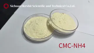 CMC-NH4 Manufacturer | Ammonium Carboxymethyl Cellulose Supplier From China