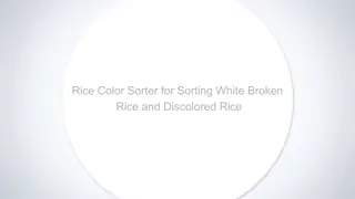 AI Rice Sorting Machine