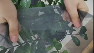 Durable Fiberglass Insect Screen for Home Protection