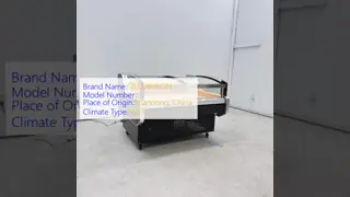 Professional Stainless Steel Meat Display Freezer Showcase