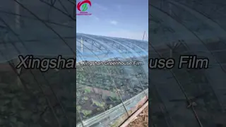High-end five-layer co-extruded PO greenhouse film application