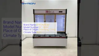 Vertical Display Freezer for Convenience Stores