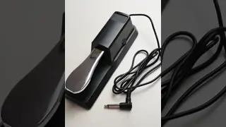 Universal Sustain Pedal for All Keyboards and Pianos