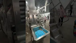 Automatic Rotary Premade Pouch Packaging Machine for 300g Alum Granules