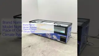 Commercial Island Freezer for Supermarkets and Retail