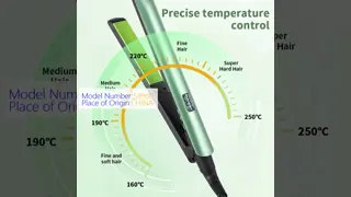 Best Wet and Dry Steam Hair Straightener with LED Display