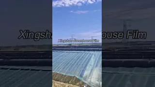 Premium PO Greenhouse Film for Vegetable and Flower Cultivation