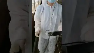 Handheld veterinary ultrasound scanner