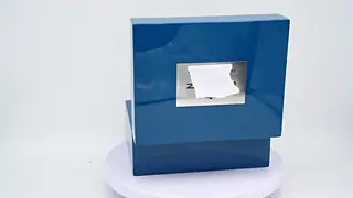 Sophisticated Custom Logo Watch Box, Luxury Protective Packaging for Collectible Watches