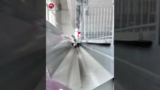 Modern H Type Layer Chicken Cage for Poultry Farming