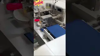 Vegetables Pillow Type Packaging Machine
