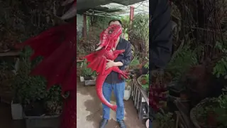 Realistic Jurassic Park Baby Dragon Puppet Animatronic