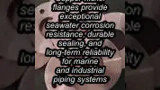 Copper-Nickel Flanges : Superior Seawater Corrosion Resistance for Marine Piping