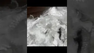 High Whiteness Double Stiffness Low Melt Staple Fiber