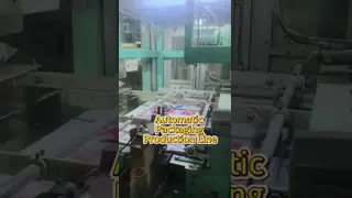 Automatic 50kg Granule Packing Machine for Chemical Industry