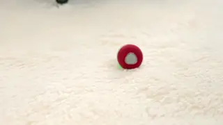 Best Interactive Smart Cat Toy for Indoor Cats