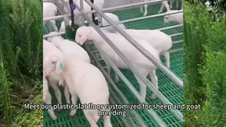 plastic slat floor customized for sheep and goat breeding.