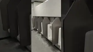 Commercial Project: Public Toilet Partition Installation Finished Showcase